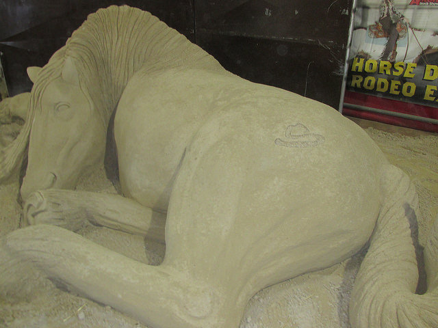 The Annual San Antonio Stock Show + Rodeo • We Blog The World